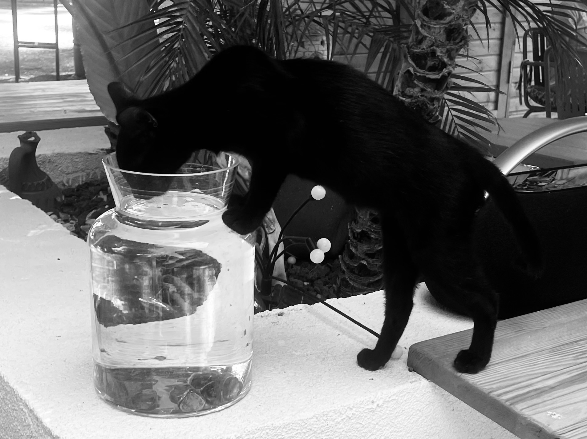 The Disappointing case of Green Paul and the Snicker Nicker – The Count ...